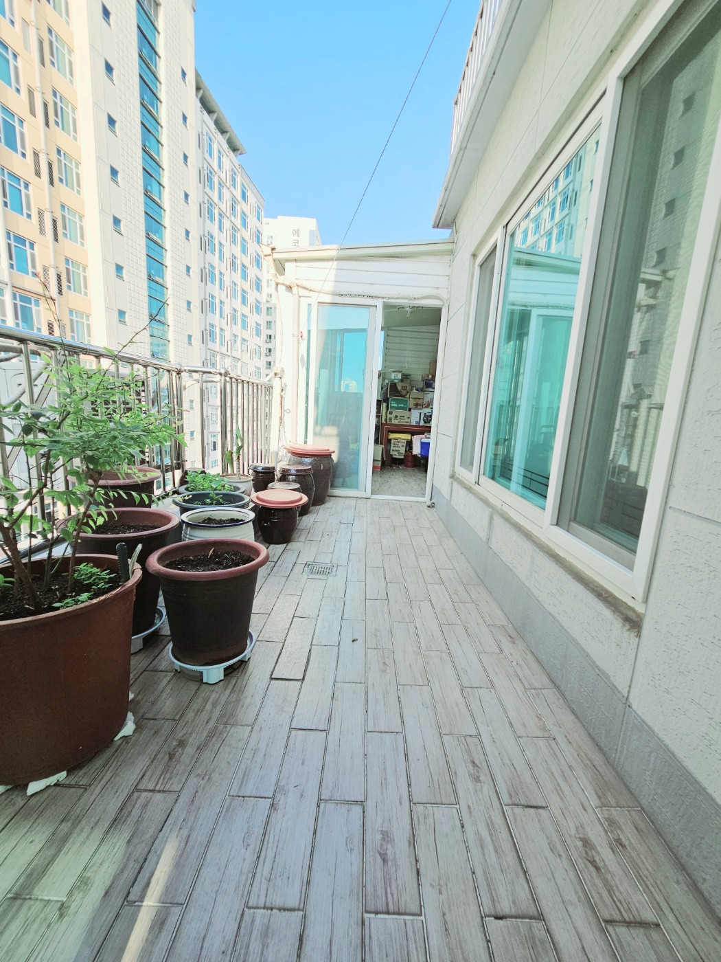 피터팬의 좋은방 구하기